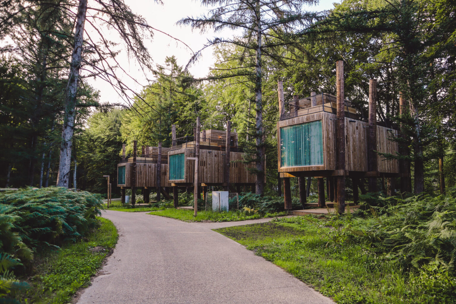 Your Nature Eco Resort | Luxe Vakantiepark in België - Unieke ...